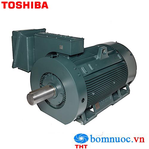 Motor Toshiba